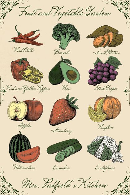Fruit and Vegetable Garden Poster Design Template — Customize it in Kittl
